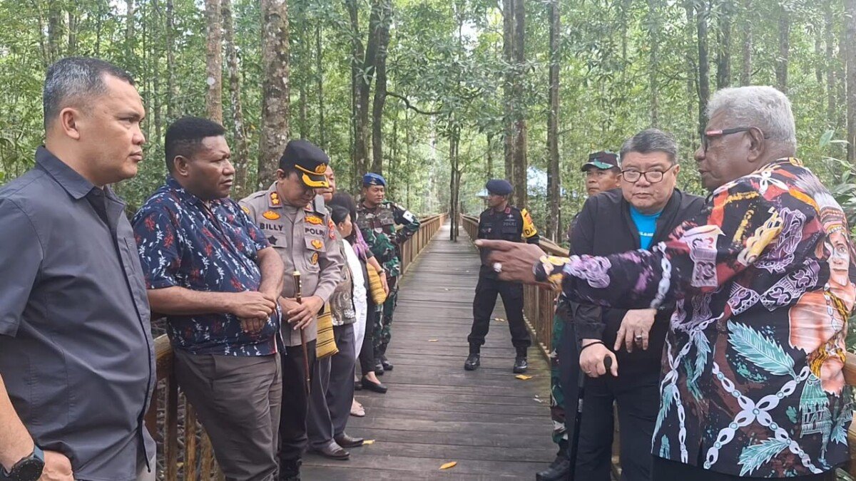 Kagum Lihat Kawasan Mangrove di Pomako, Dubes Seychelles : Saya Bangga ...